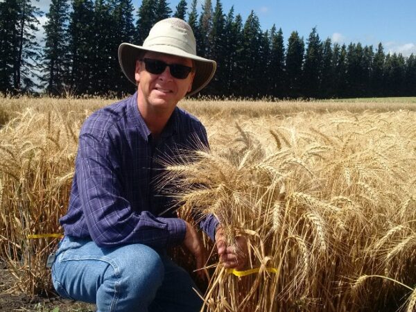 Plant Breeding and Genetics Award Winner Rob Graf Joins SeedNet - Seed ...