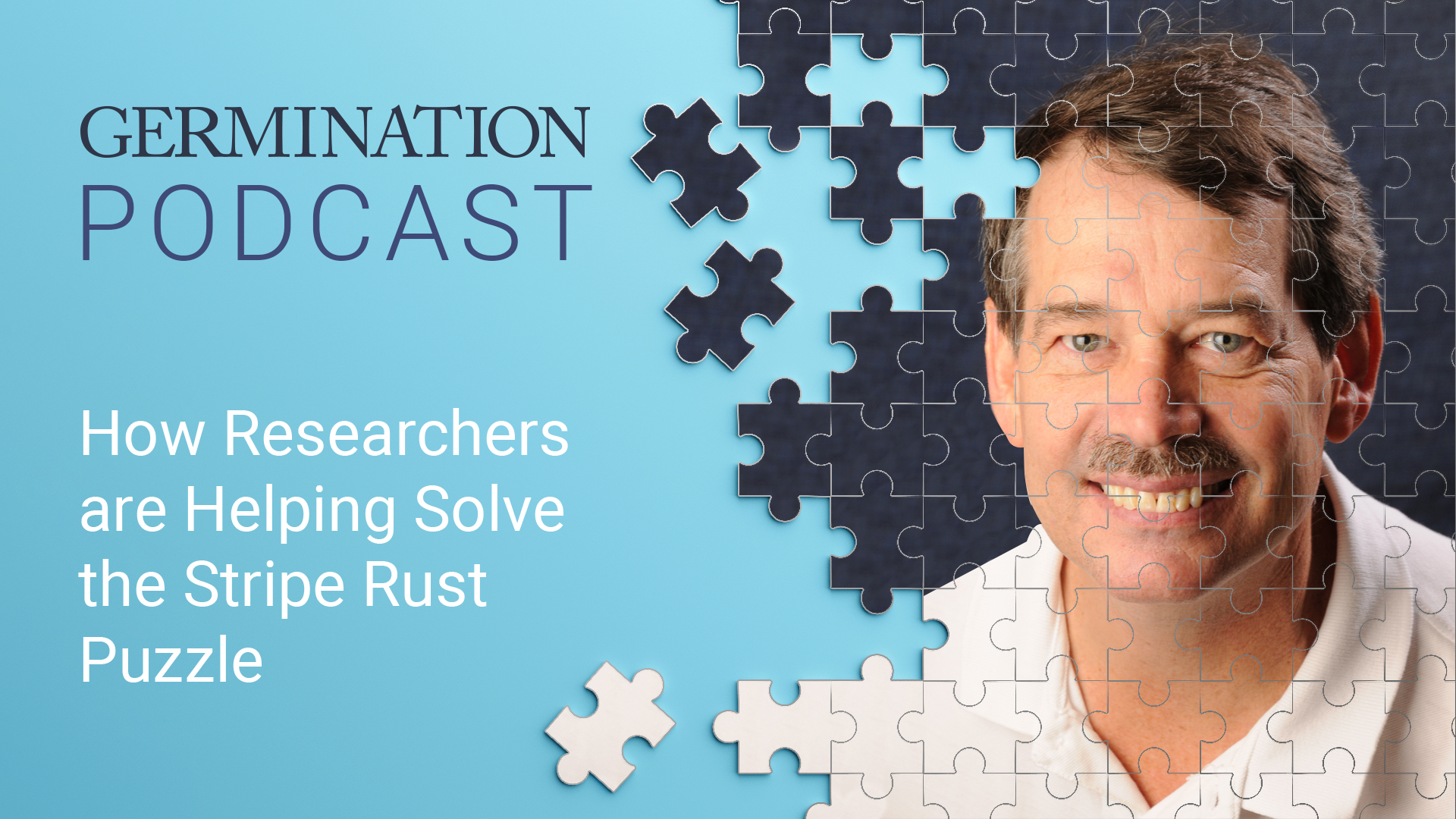 Canada's Wheat Rust Research Breakthroughs Get Recognized - Seed World