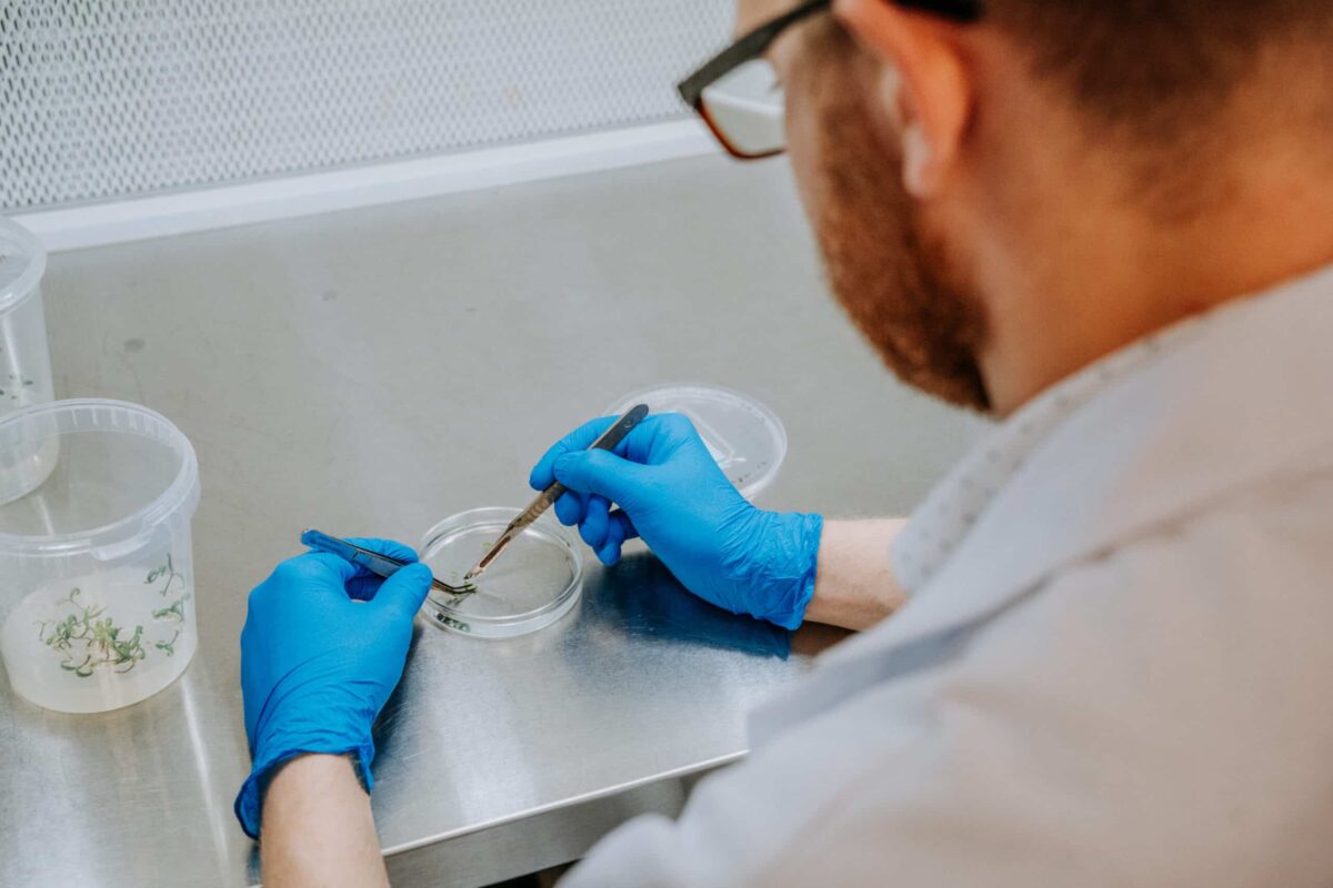 Crop Improvement Enters a New Era with Phytoform Labs