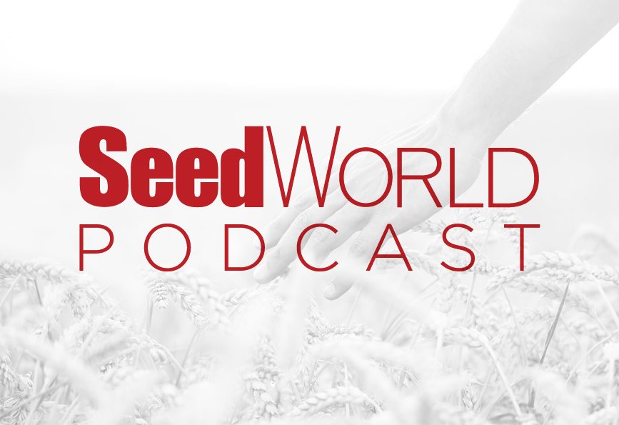 Seed World Podcast Episode 5 – Understanding the Architecture of Maize