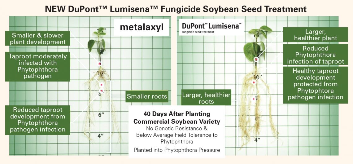 DuPont Launches Best-In-Class Phytophthora Protection for US Soybeans ...