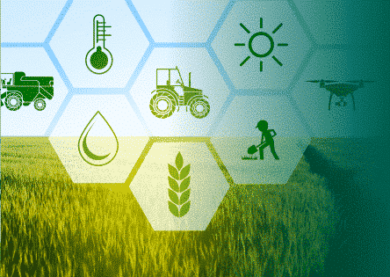 Value Chain Comes Together for Seed Summit 2022 - Seed World