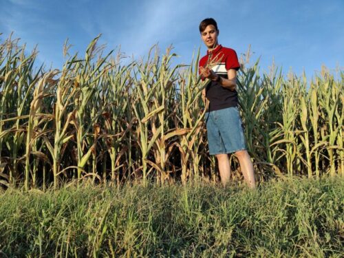 Breeding Plants for Tomorrow's World - Seed World