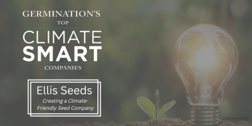 Ellis Seeds Shows How to Create a Climate-Smart Business Model - Seed World