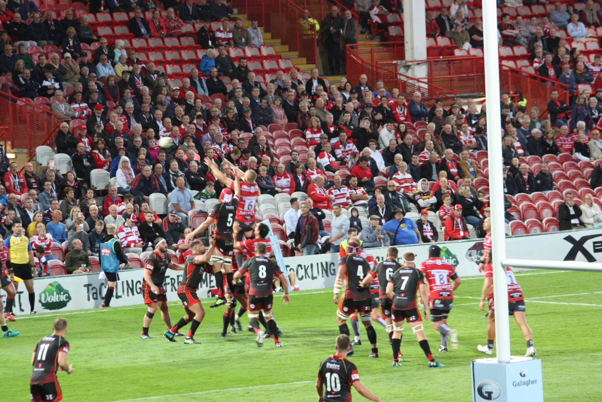 Crafting the Perfect Rugby Pitch: Where Art Meets Science - Seed World