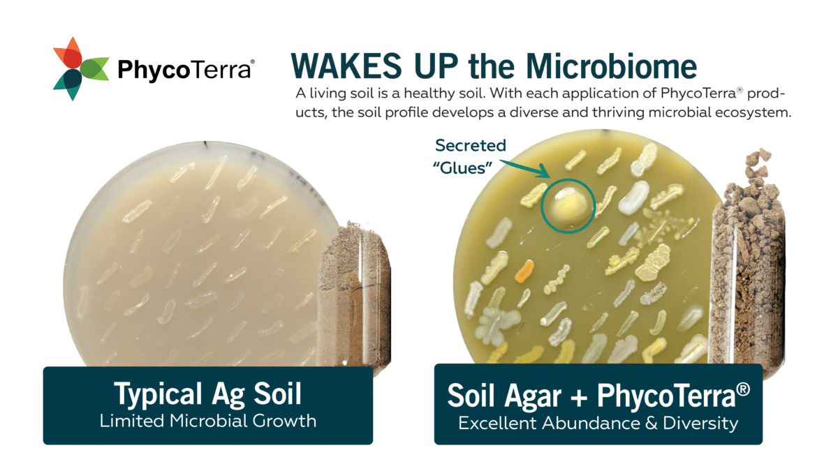 Rebuilding Soil Microbiomes in High-Tunnel Agricultural Systems - Seed ...