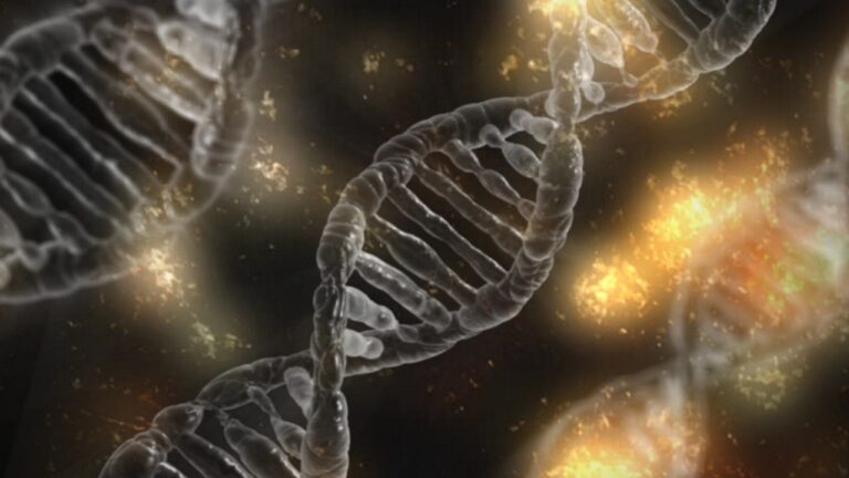 Plant DNA Repair Discovery Could Help Future Crops