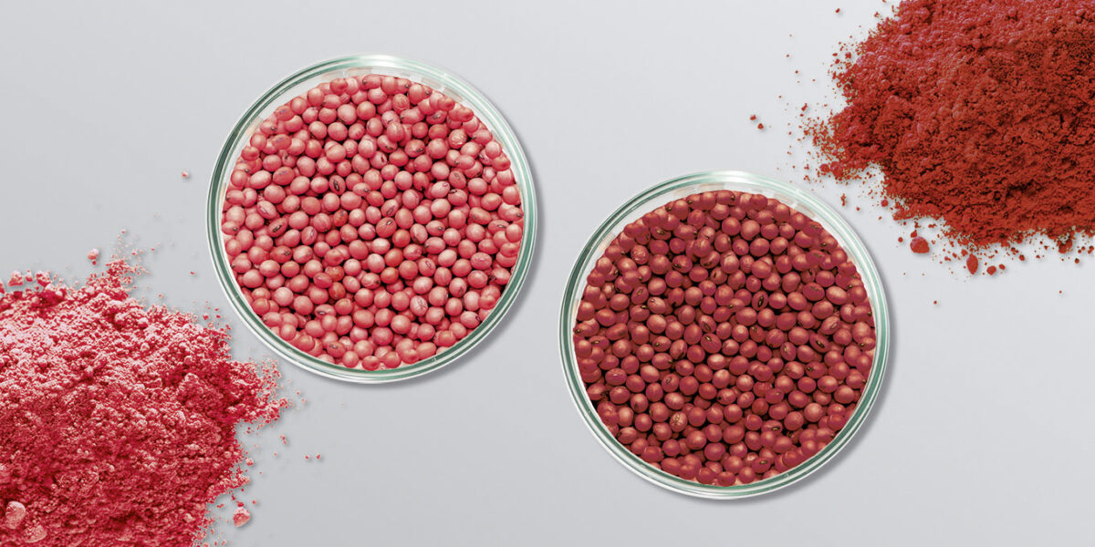 Game Changing Red Colorant Technology for Seed Coatings - Seed World