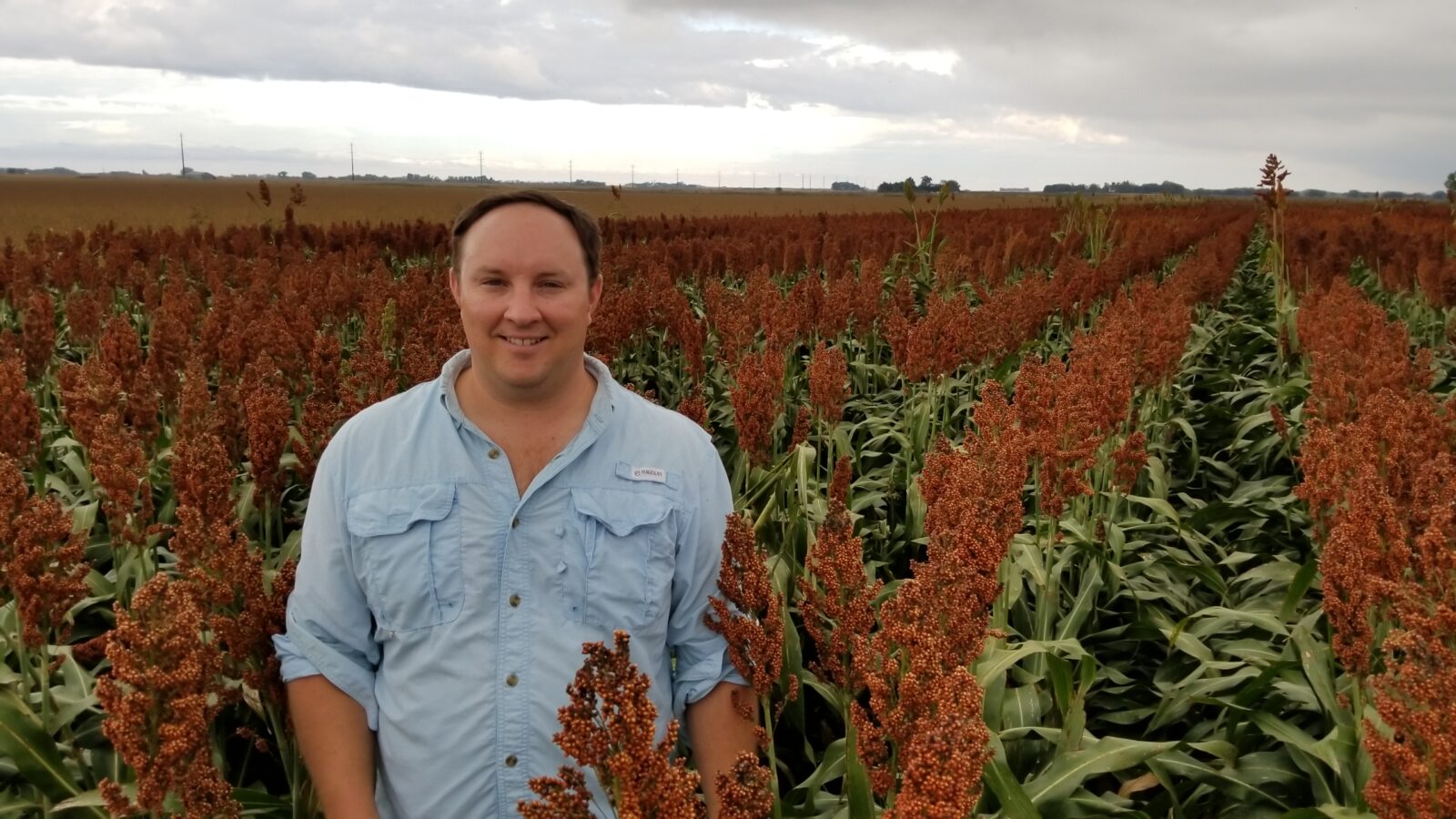 Grower Perception Controlling Sorghum: Q&A with Ben Beyer - Seed World