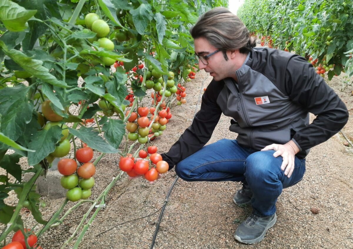 USDA APHIS Releases 2023 Impact Report - Seed World