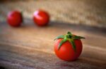 HM.CLAUSE Launches First ToBRFV Resistant Tomato Varieties - Seed World