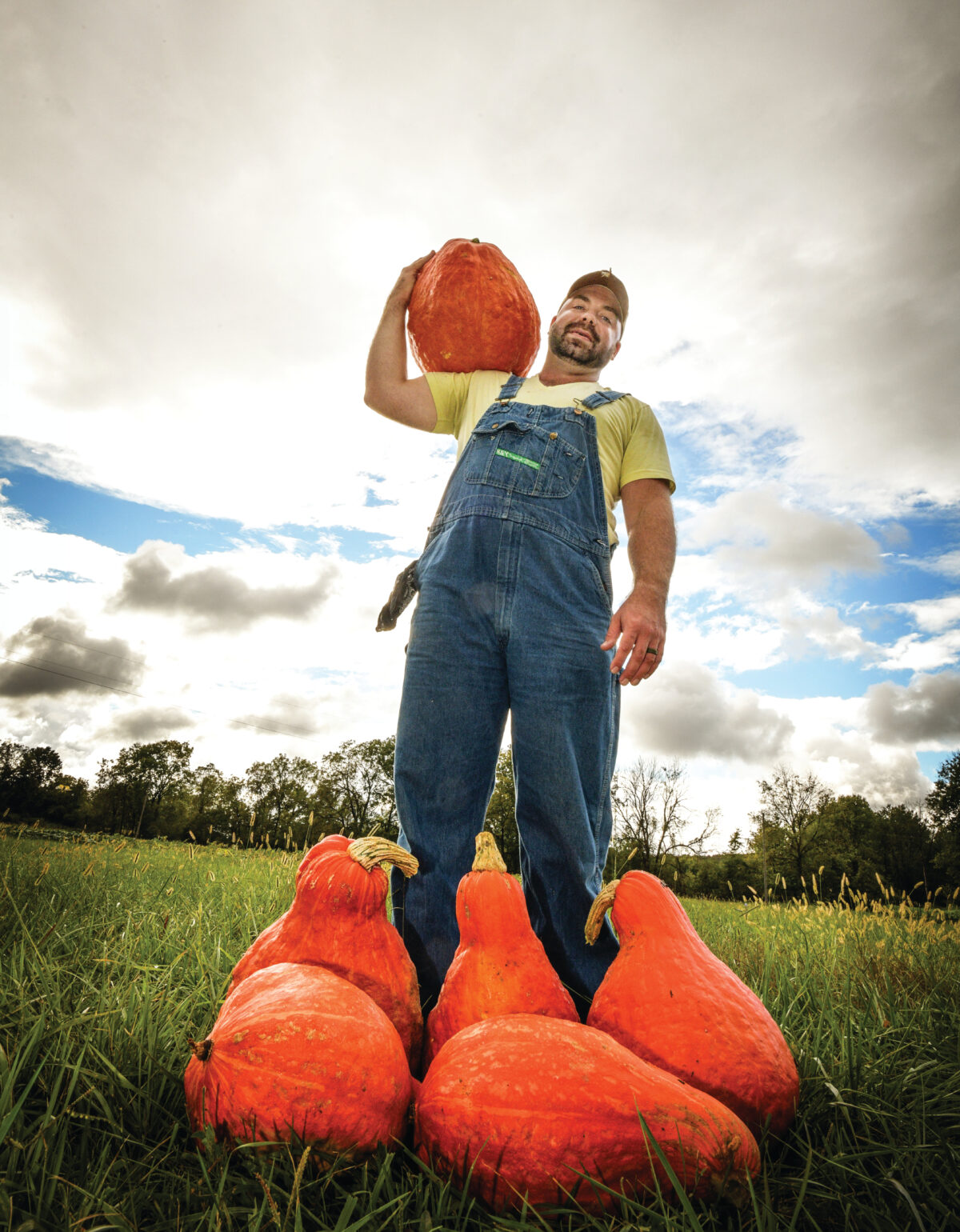 Pandemic Still Impacting Home Garden Seed Market - Seed World