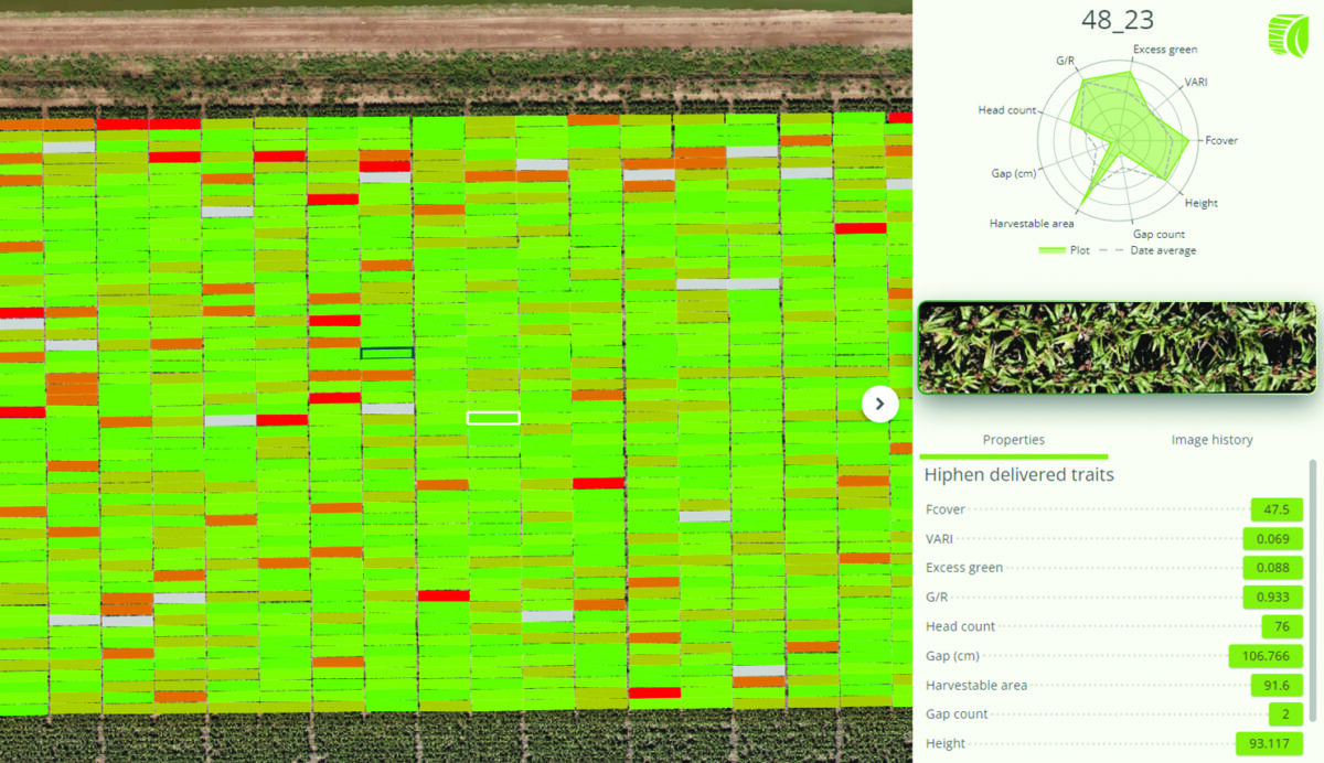 Transforming Crop Breeding with Trait Extraction from Drone Imagery ...