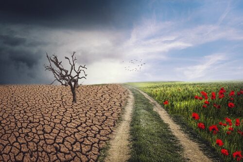 USDA Updates Climate Adaptation Plan to Bolster Resilience Nationwide ...