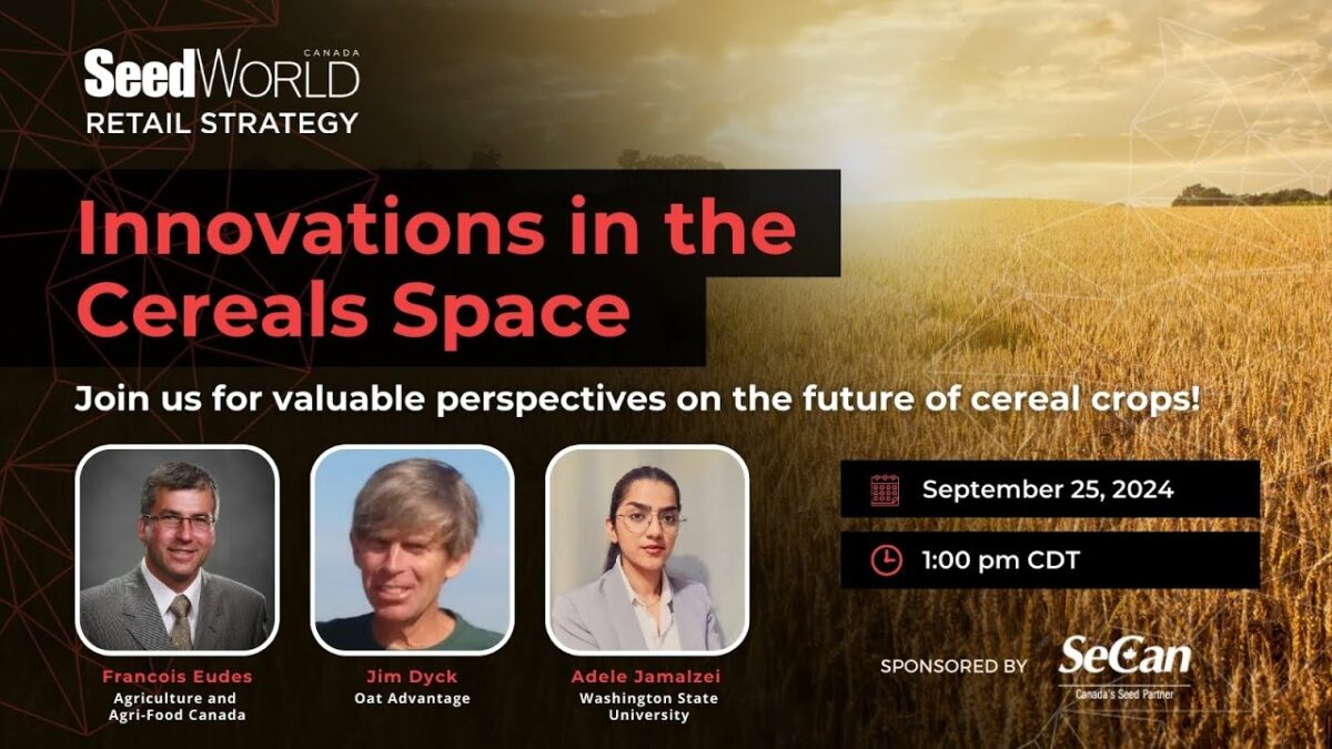 Gene-Edited Wheat, Next-Gen Oats and Cool Technology: Watch our New ...