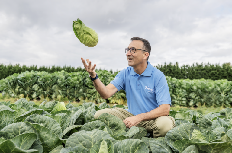 Growing Together: Hazera's Global Vision for the Future of Agriculture ...