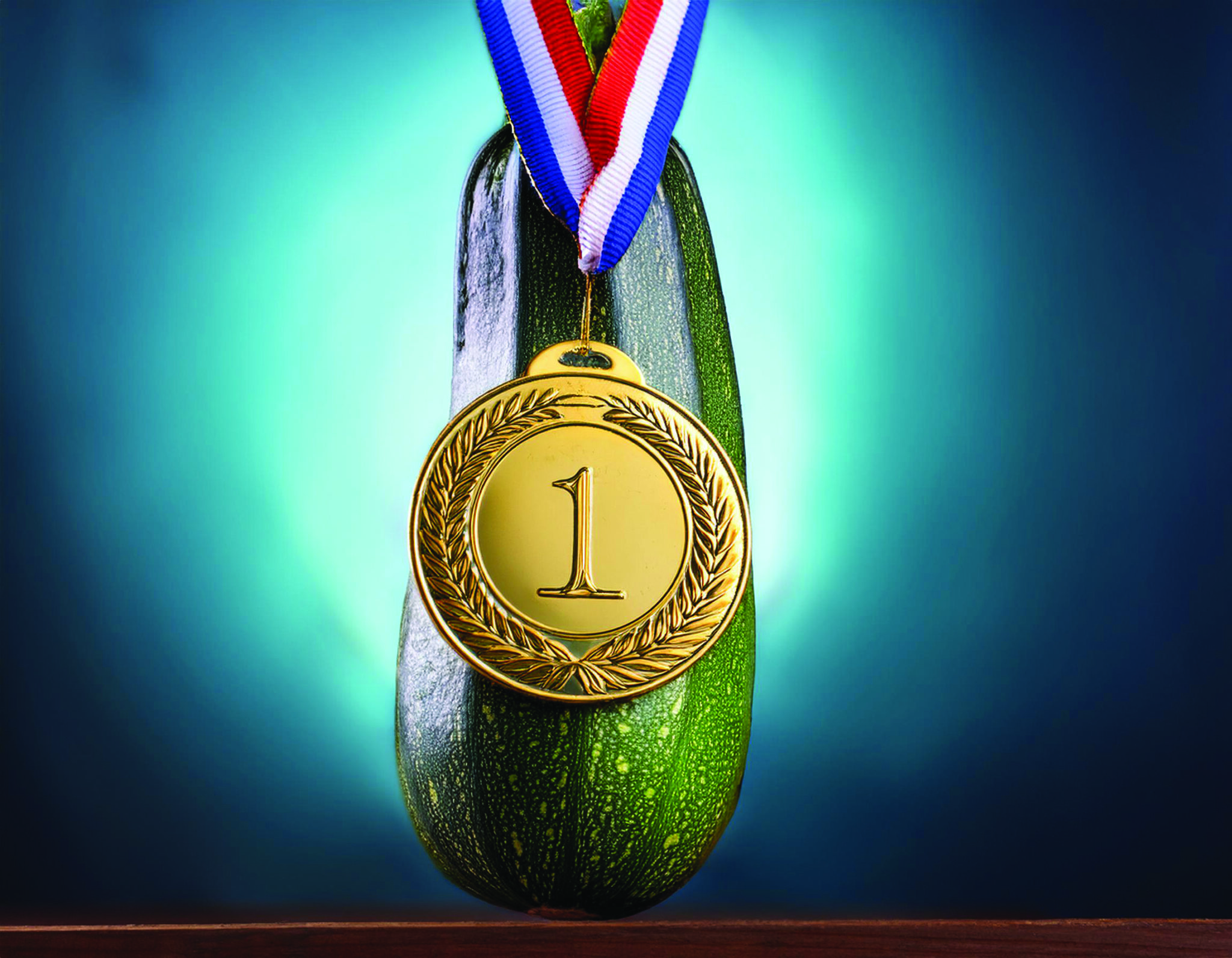 Fun Facts on Courgettes - Seed World