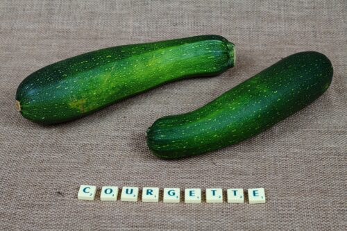Fun Facts on Courgettes - Seed World