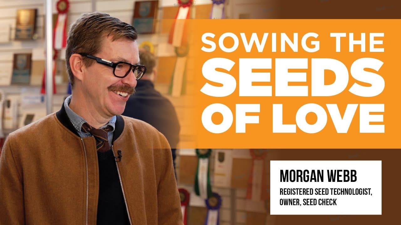 Seed Check is Sowing the Seeds of Love - Seed World