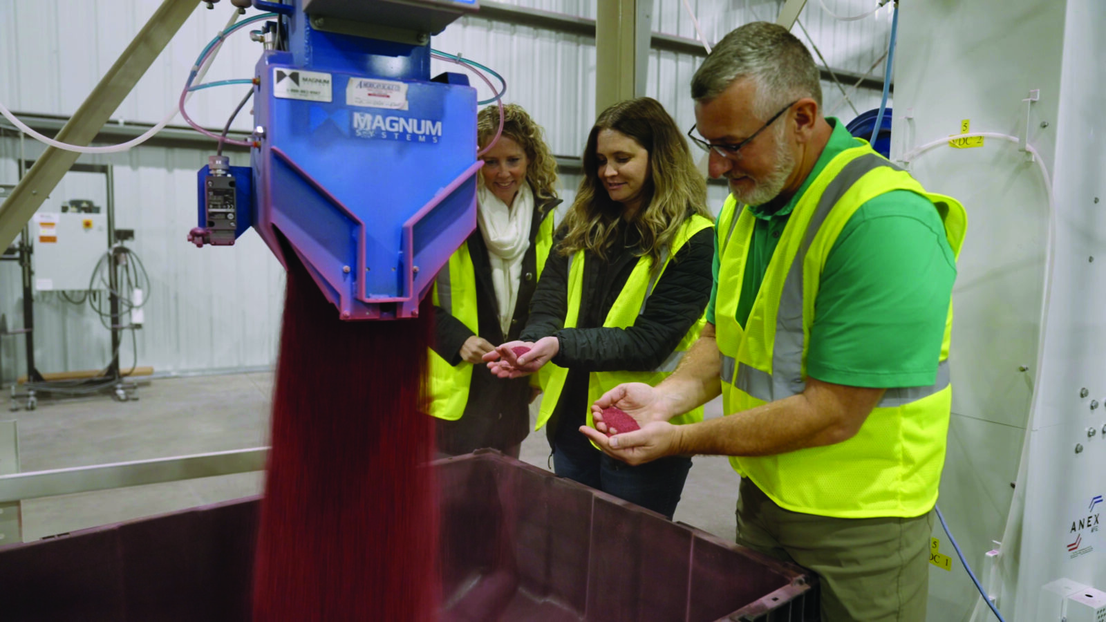 Seed World Visits: DLF's Forage & Turf Seed Enhancement Facility