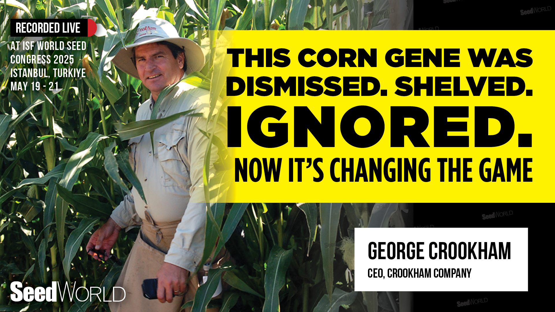 This “Failed” Gene Is Sweet Corn’s Secret Weapon - Seed World