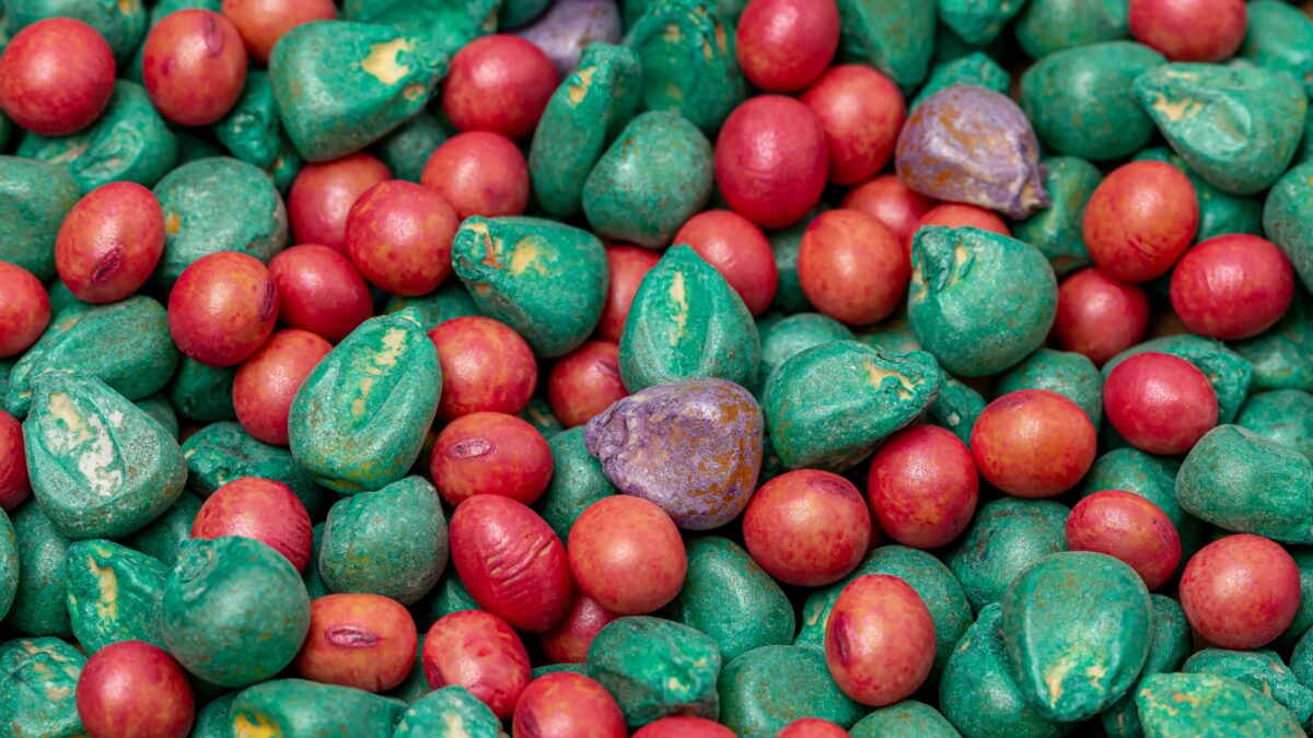 Legacy Seeds Corn and Soybean Business Joins GDM's Mustang Seeds - Seed ...