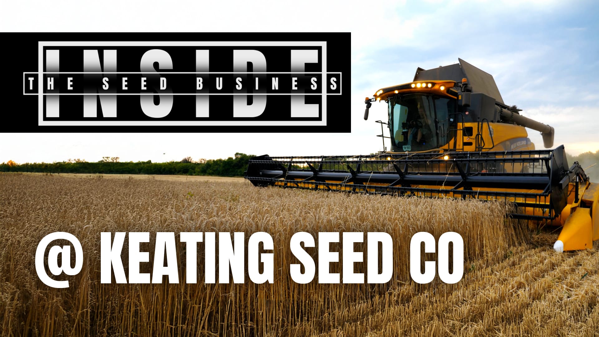 Inside the Seed Business: Keating Seed Co. - Seed World