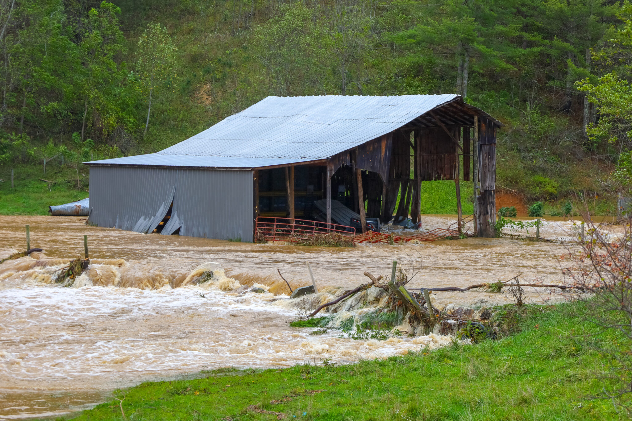 North Carolina Farmers to Receive $221 Million in USDA Disaster ...