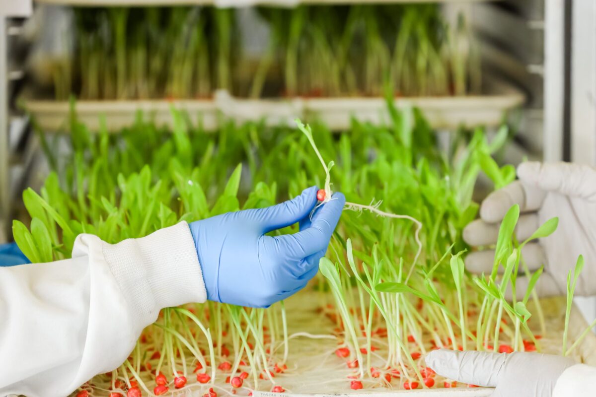 Inside the Busy Season: What Farmers and Seed Companies Need to Know ...