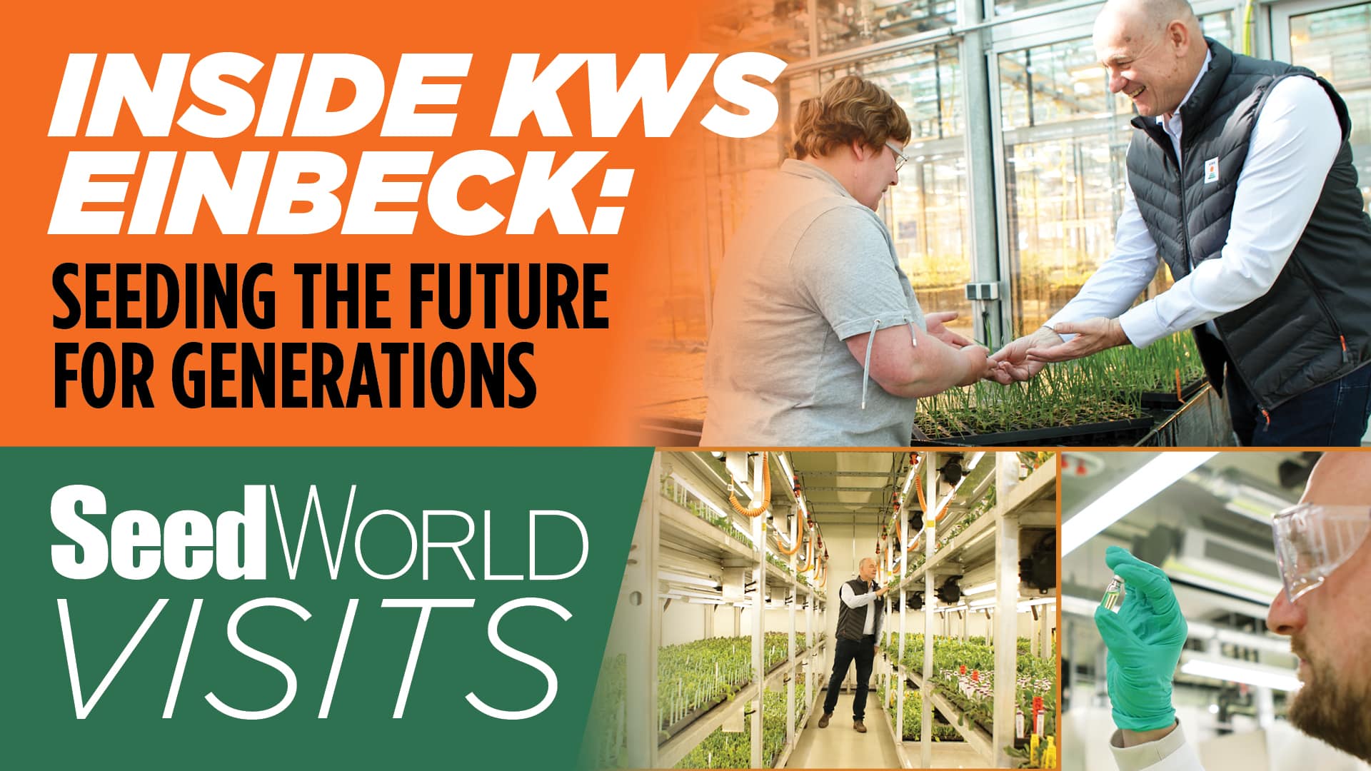 How KWS Is Creating Seeds For The Future - Seed World