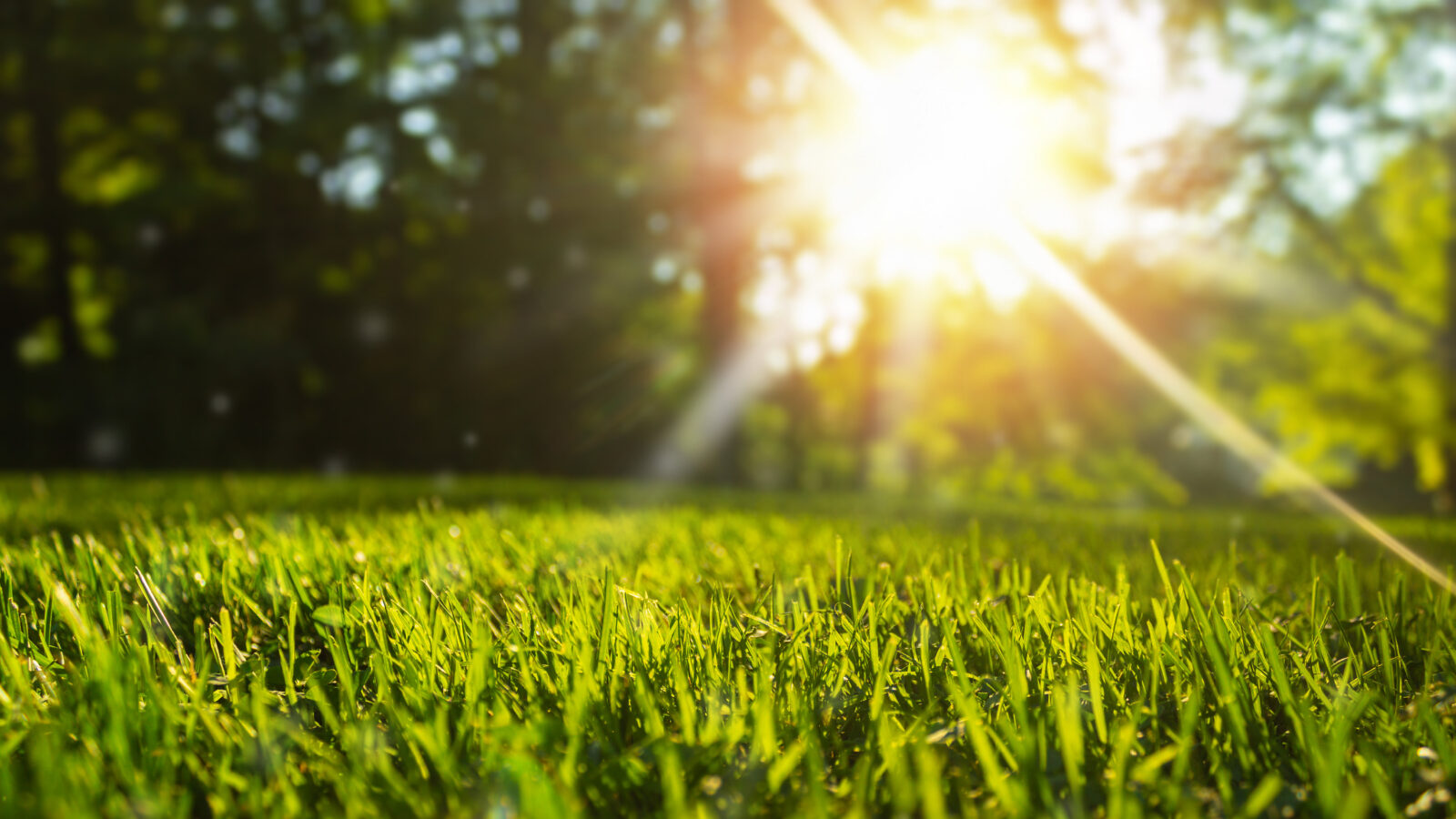 EU Reaches Agreement on New Genomic Techniques Regulation for Plant ...