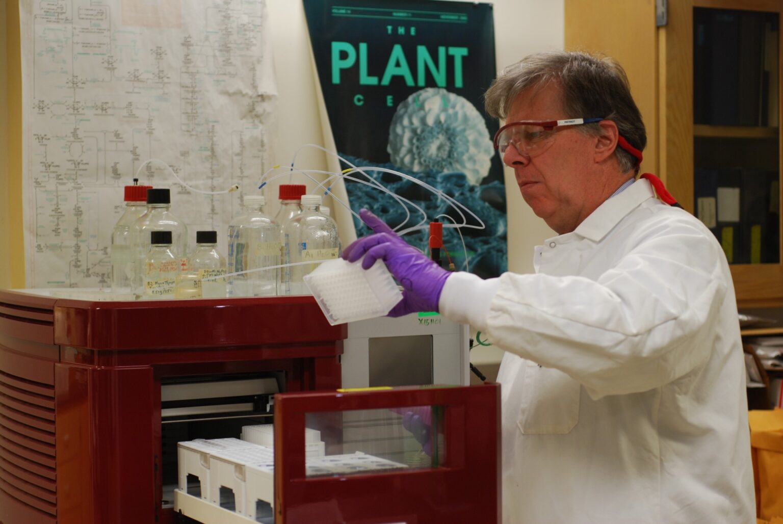 Seeds That Fix Themselves — A New Lever for Seed Longevity - Seed World