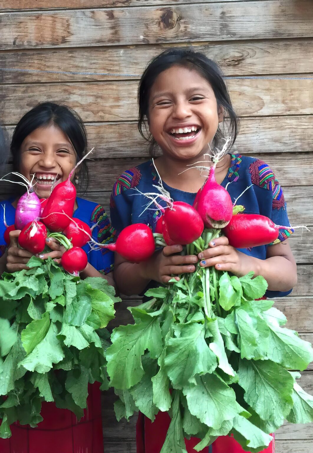 Seed Programs International Connects Smallholder Farmers to the Seed ...