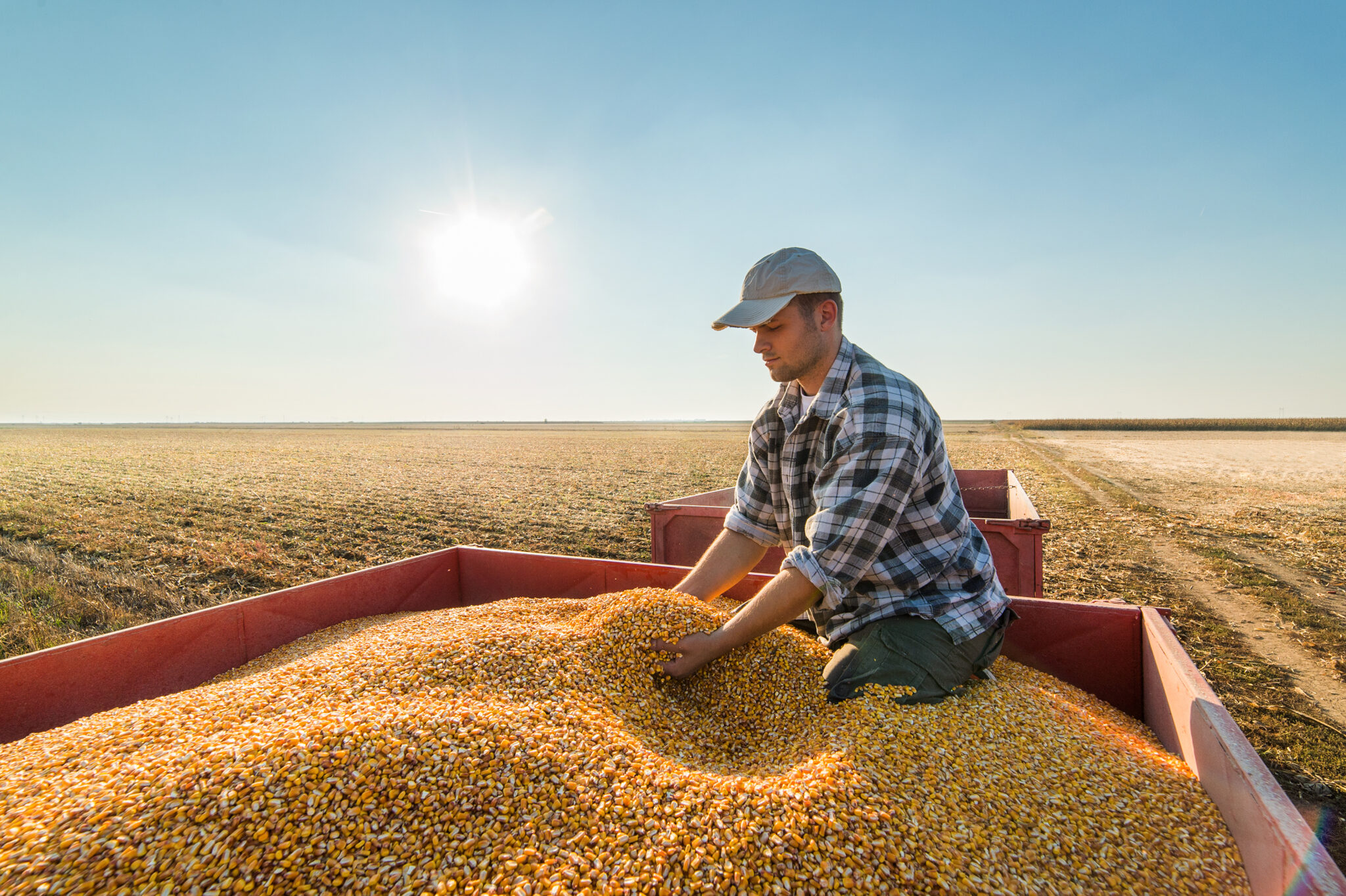 The System Built For Corn Isn’t Built For What’s Next - Seed World