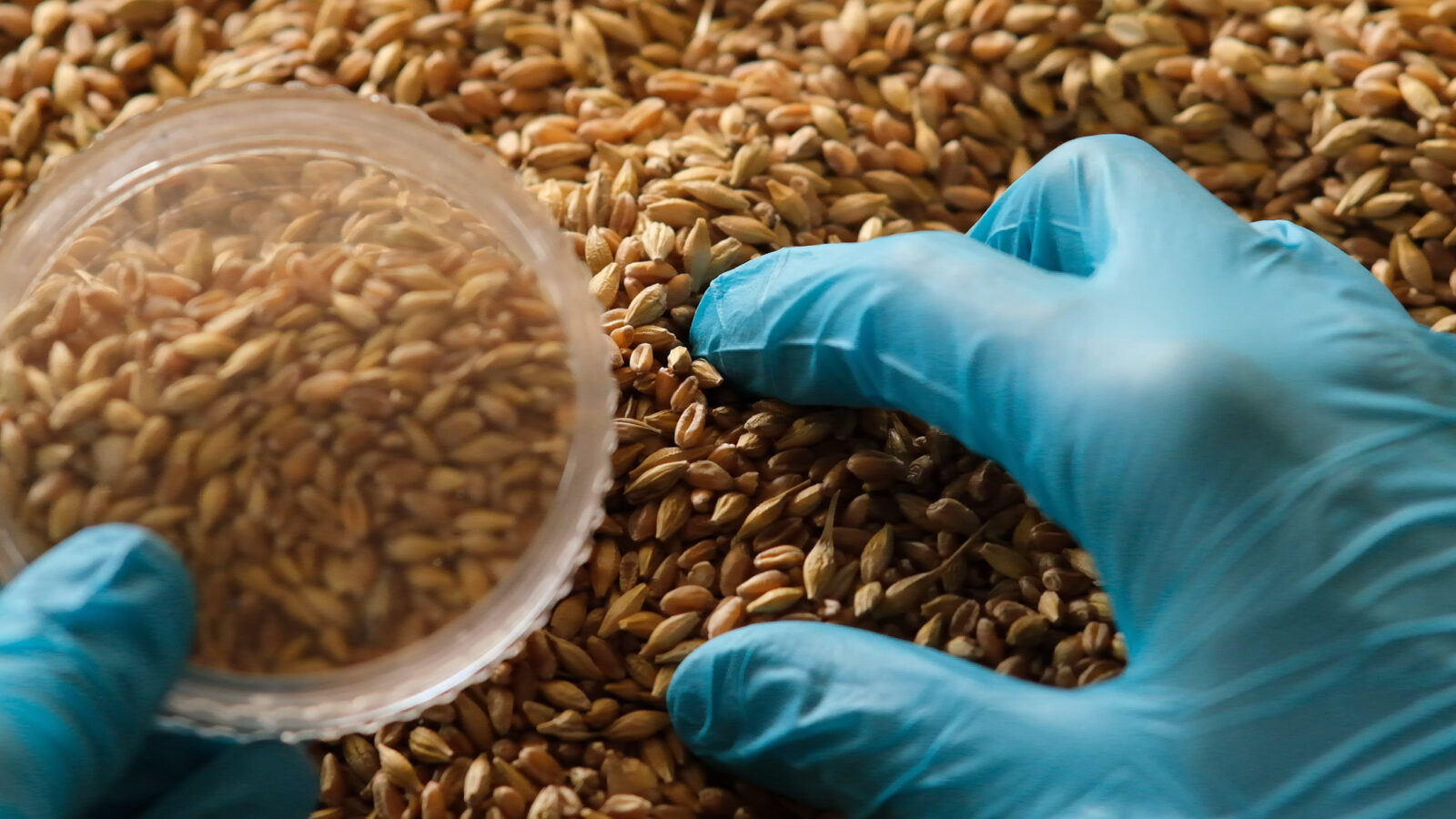 Baker Center Advances Seed Industry Innovation