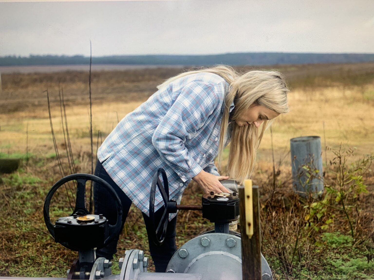 How AI Is Changing Certified Seed Operations